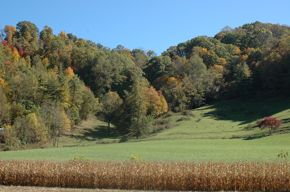 North Carolina Farms for Sale - North Carolina Wineries & Estates